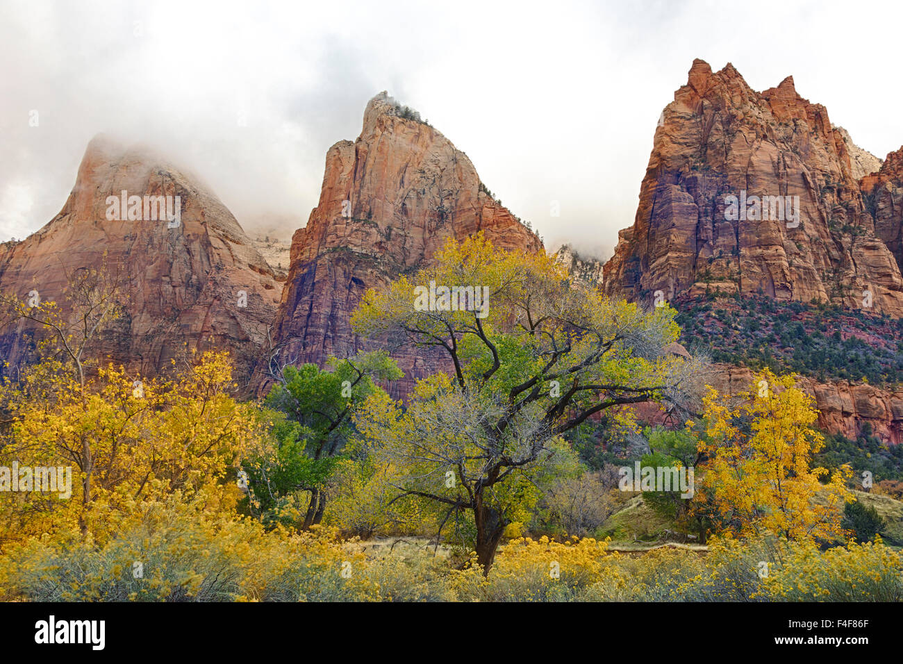 Jamie court hi-res stock photography and images - Alamy
