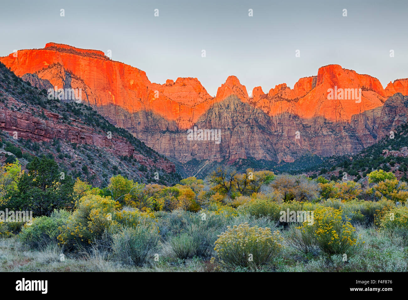 USA, Utah, Zion National Park, Towers of the Virgin and The West Temple ...