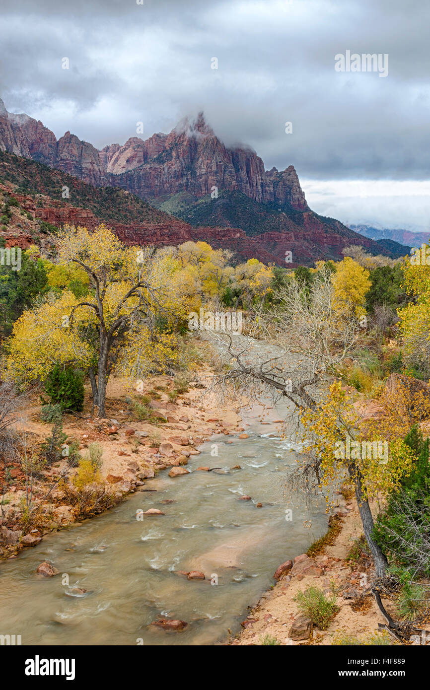 USA, Utah, Zion National Park, Virgin River and The Watchman Stock ...