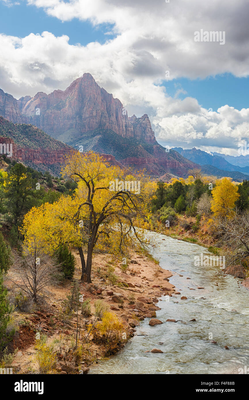 USA, Utah, Zion National Park, Virgin River and The Watchman Stock ...