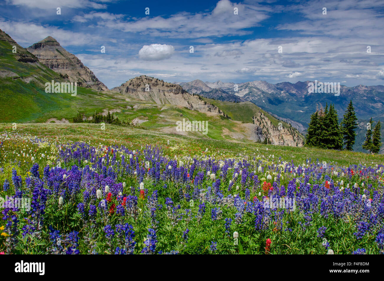 Uintah range hi-res stock photography and images - Alamy