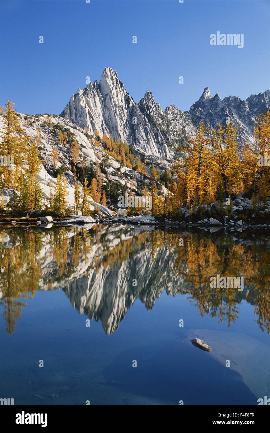 Prusik peak and larch trees reflected in lake (Large format sizes ...