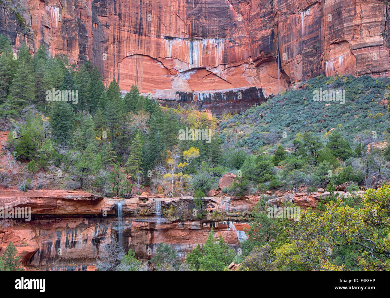 USA, Utah, Zion National Park, Waterfalls from Lower Emerald Pool Stock Photo - Alamy