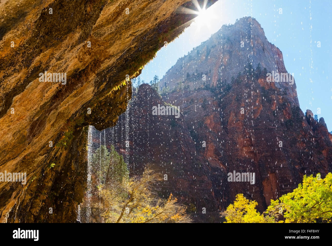 Zion weeping rock formation hi-res stock photography and images - Alamy