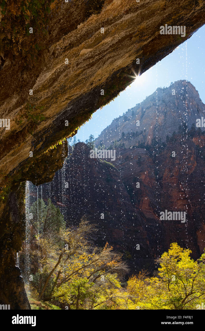USA, Utah, Zion National Park, Weeping Rock Stock Photo - Alamy
