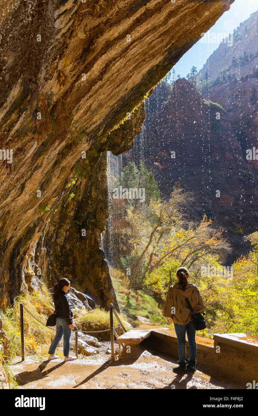Zion weeping rock formation hi-res stock photography and images - Alamy