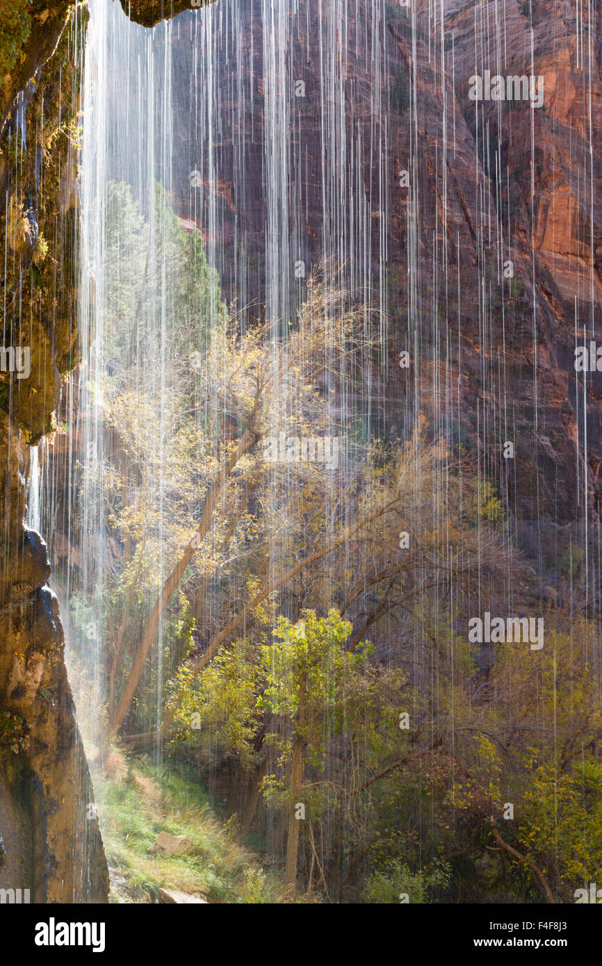 Zion weeping rock formation hi-res stock photography and images - Alamy