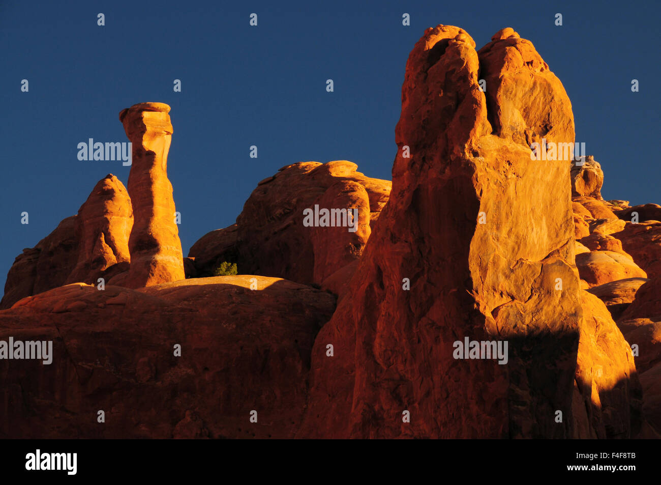 Pinnacles and Spires, Arches National Park, Utah, USA Stock Photo - Alamy