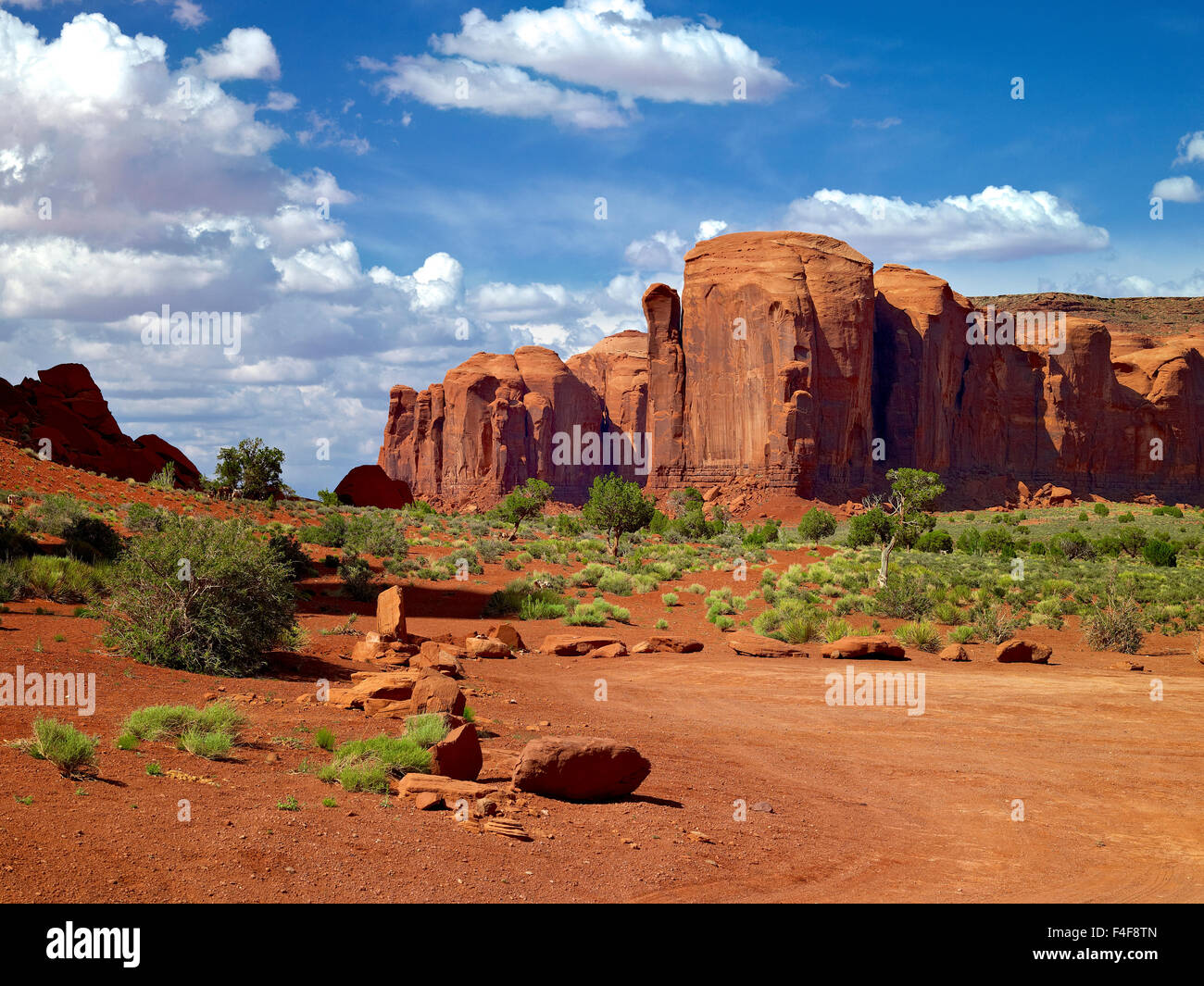 USA, Utah, Monument Valley. Rim of a mesa with trees and bushes in the ...