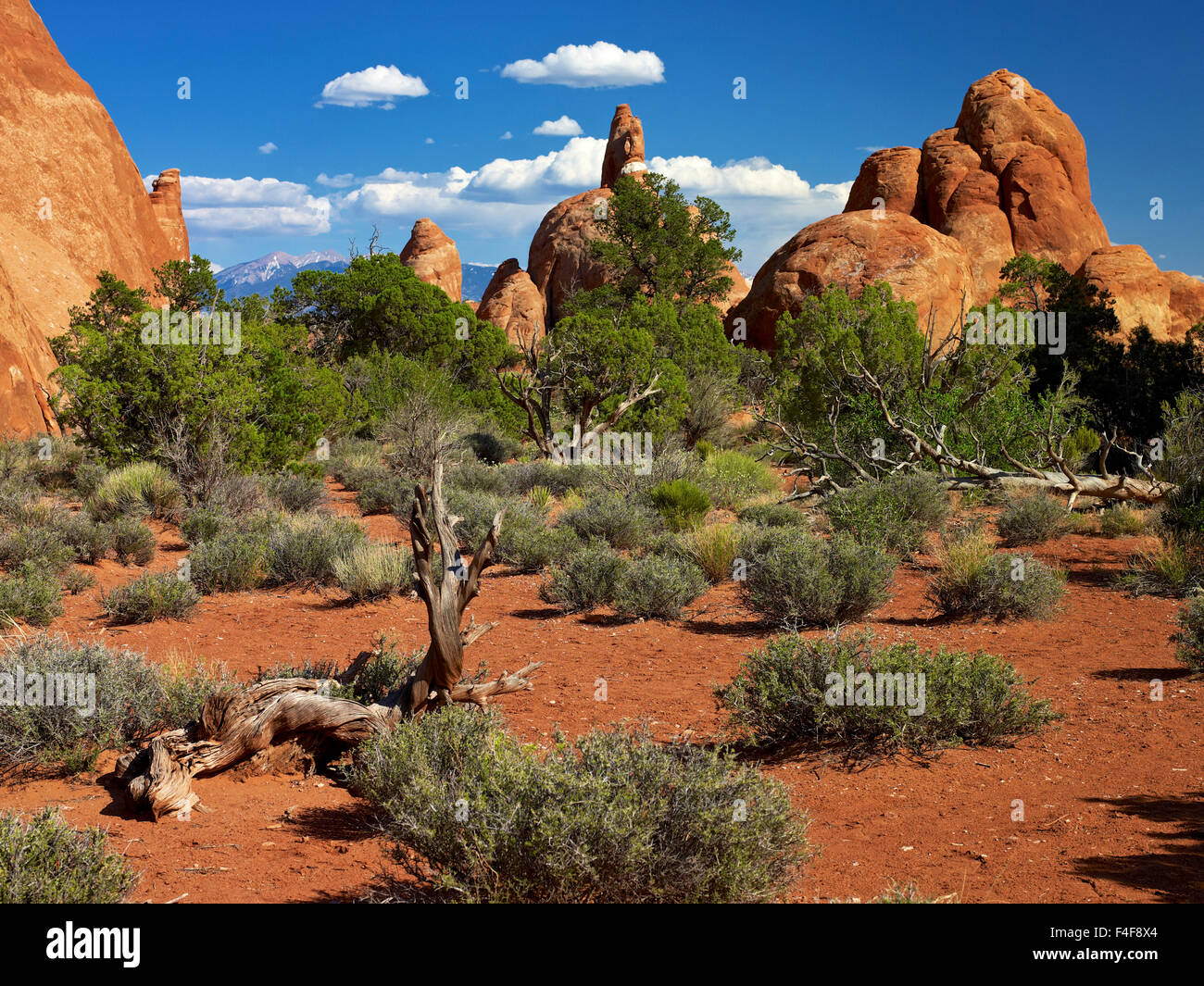 USA, Utah, Arches National Park. Devil's Garden with sand towers and ...