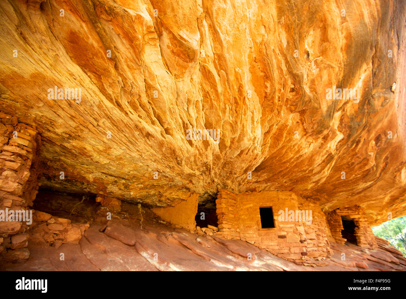 The South Fork of Mule Canyon's House on Fire Ruin is one of the most ...