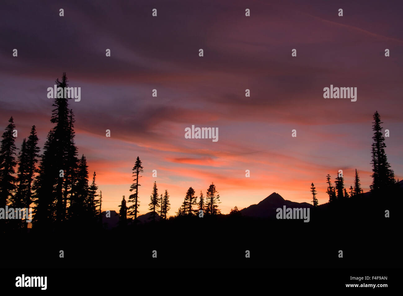 Mount Rainier National Park, Sunset Stock Photo - Alamy