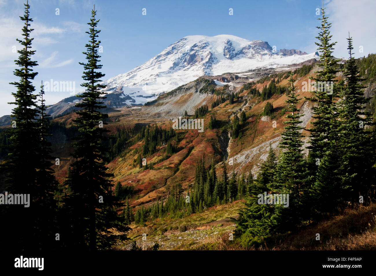 Mount Rainier National Park, autumn Stock Photo - Alamy