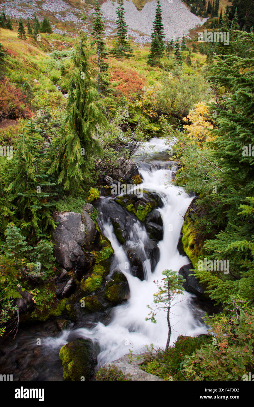 Mount Rainier National Park, autumn stream Stock Photo - Alamy