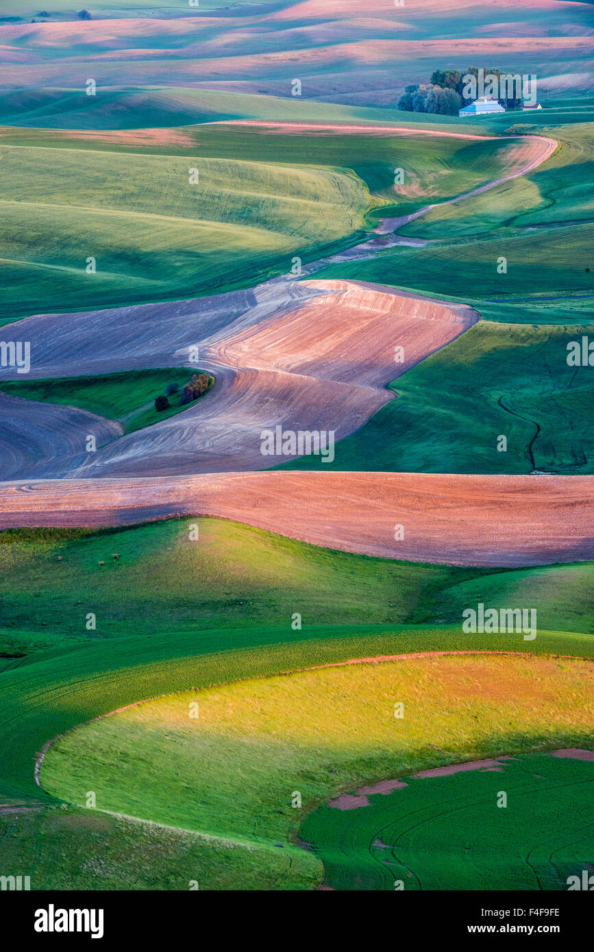 USA, Washington. Patterns and colors of the Palouse region. Credit as ...