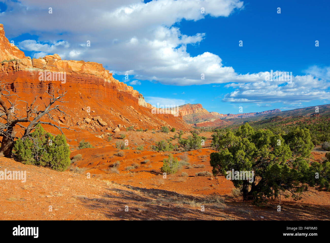 Capitol Reef formation in Capitol Reef National Park, Utah. (Large ...