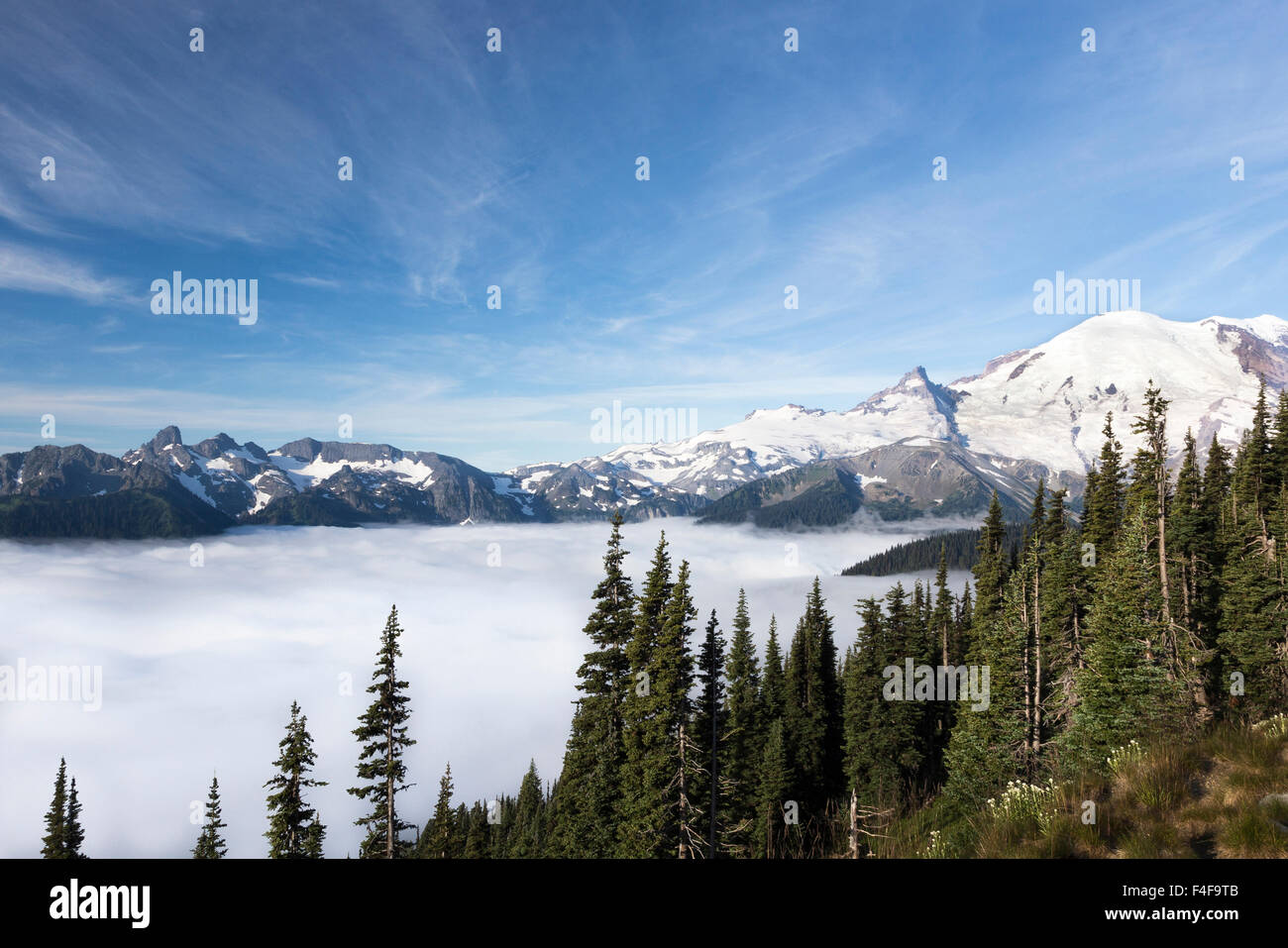 Washington, Mount Rainier National Park. Landscape from Sunrise Point ...