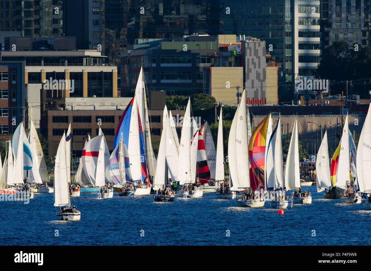 USA, Washington State, Seattle. Sailboats on Lake Union in Duck Dodge ...