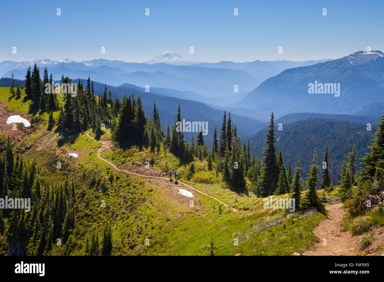 USA, Washington State. Backpackers on Cowlitz Divide of Wonderland ...