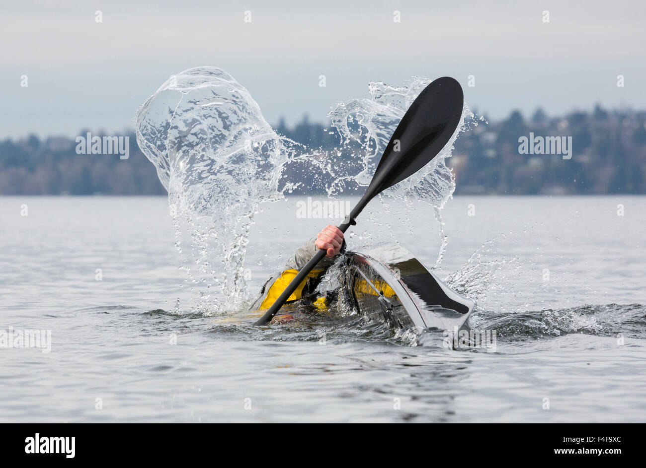 USA, Washington State. A sea kayaker practices capsize and Eskimo roll ...