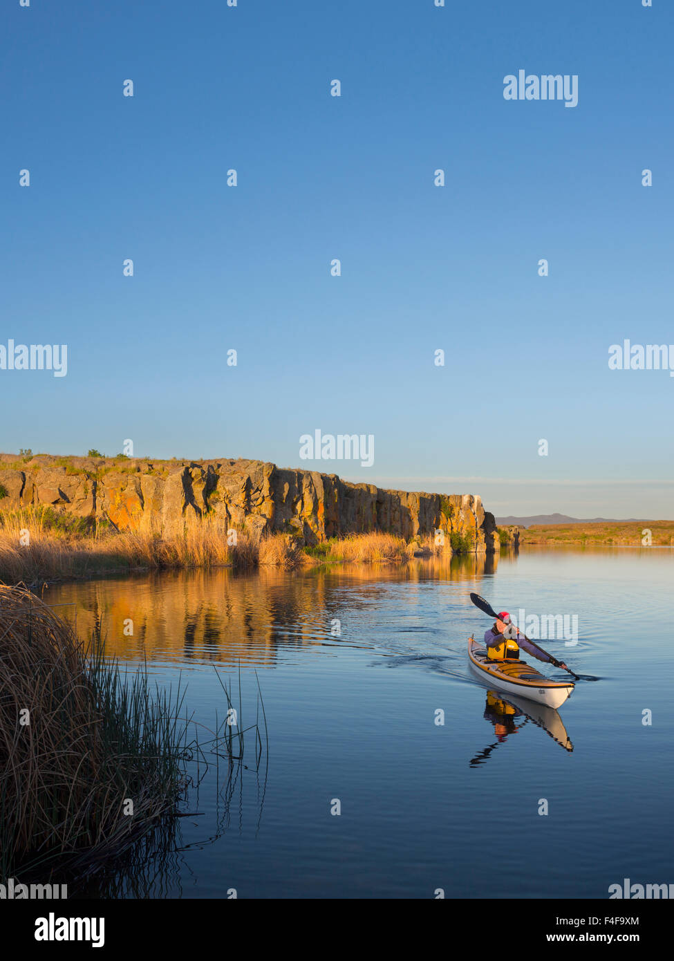 USA, Washington State. Male kayaker paddling sea kayak on still water ...