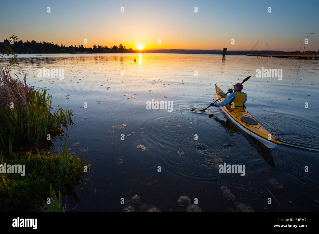 USA, Washington State. Male kayaker paddling sea kayak on still water ...