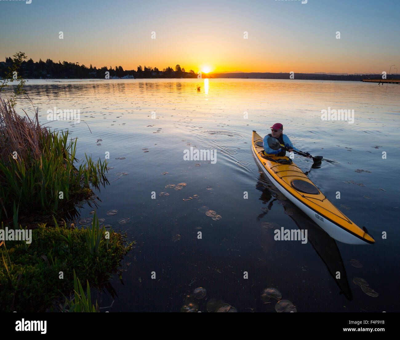 USA, Washington State. Male kayaker paddling sea kayak on still water ...