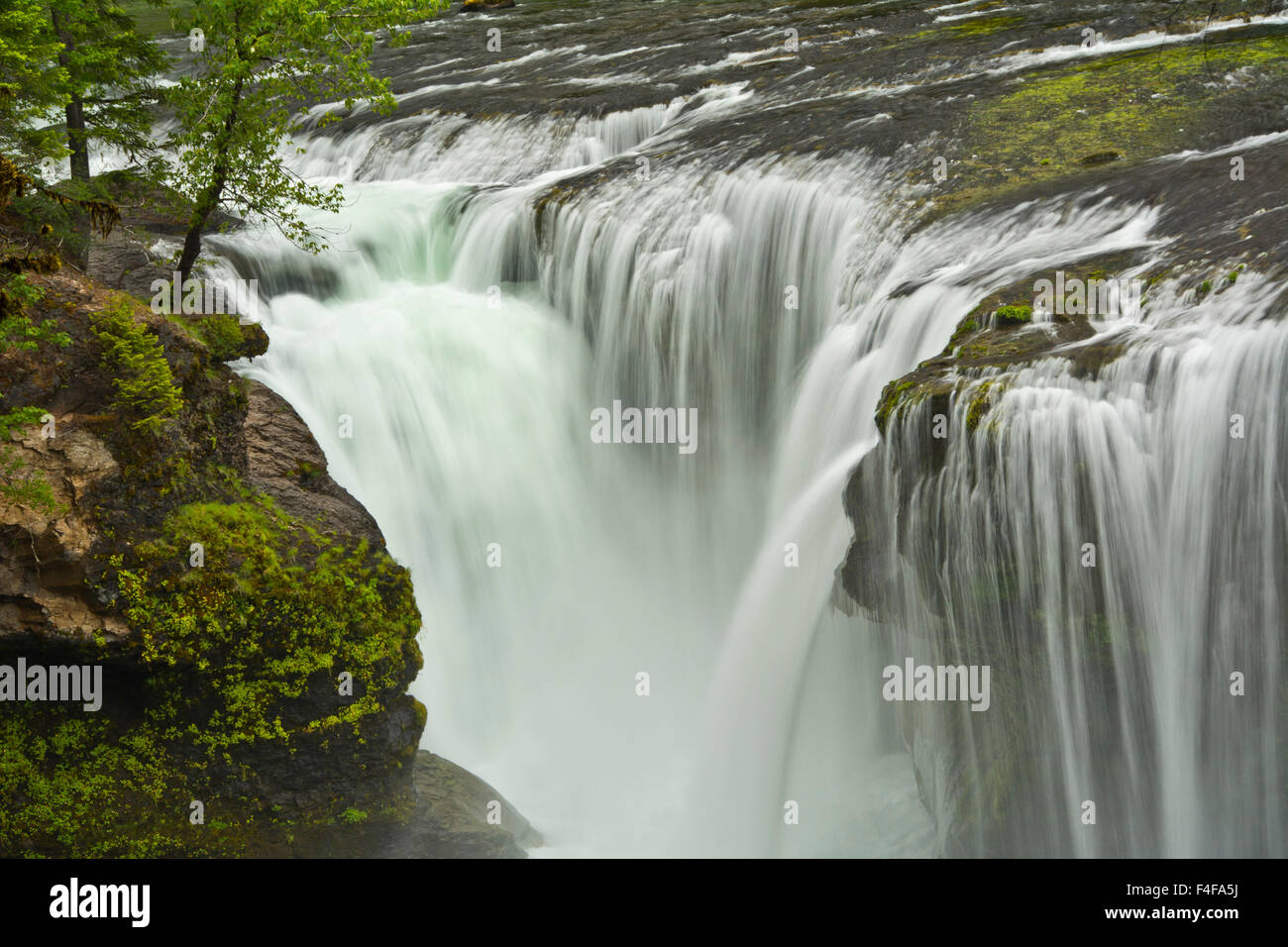 Lower Lewis Falls, Lewis River, Gifford-Pinchot National Forest, Cougar ...