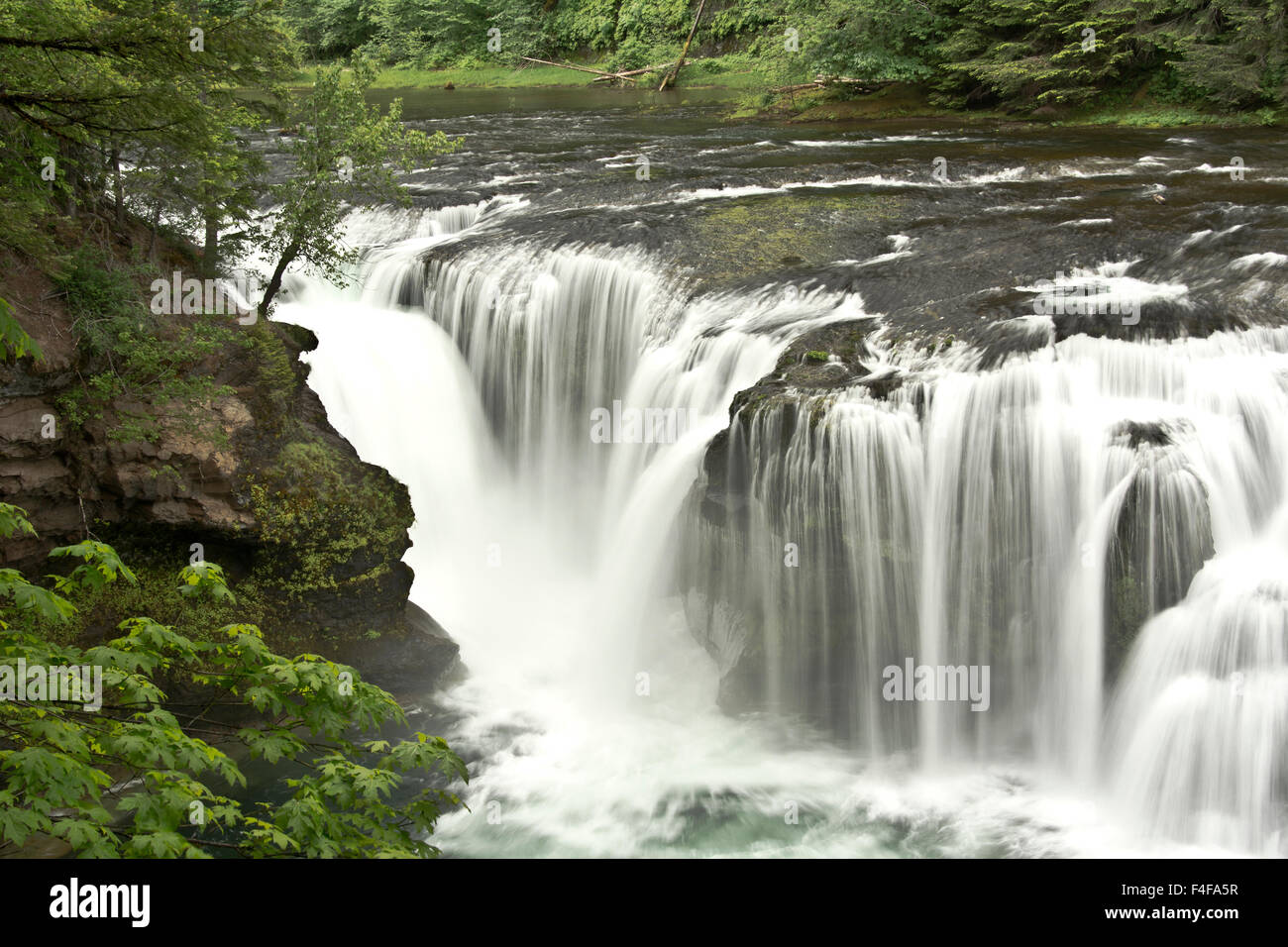 Lower Lewis Falls, Lewis River, Gifford-Pinchot National Forest, Cougar ...