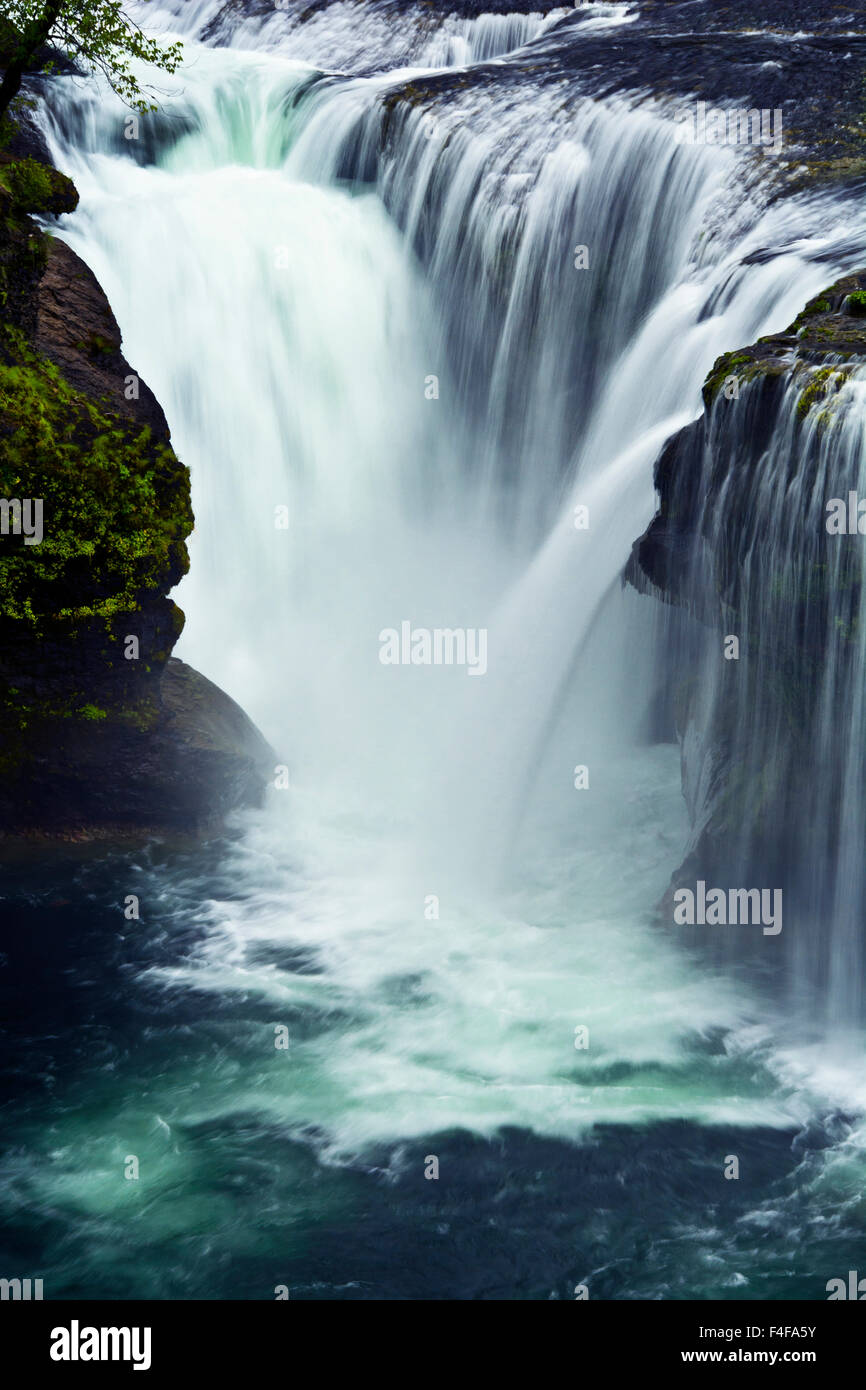 Lower Lewis Falls, Lewis River, Gifford-Pinchot National Forest, Cougar ...