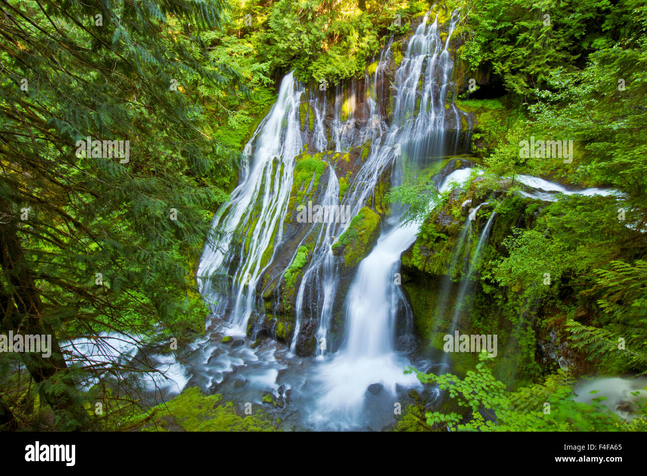 Panther Creek Falls, Gifford-Pinchot National Forest, Carson ...