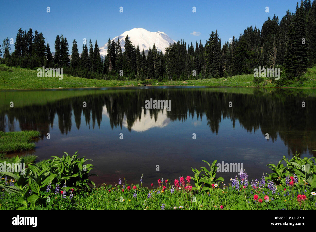 Reflection of Mount Rainier, Tipsoo Lake, Mount Rainier National Park ...