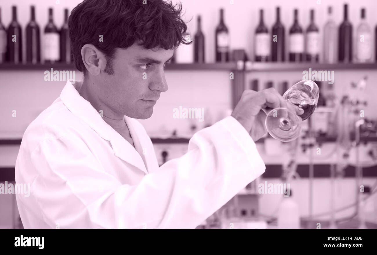 Taster professional working into a cellar laboratory Spain bi-tone ...