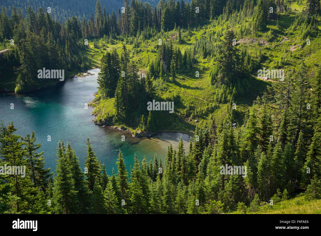 Tolmie state park hi-res stock photography and images - Alamy