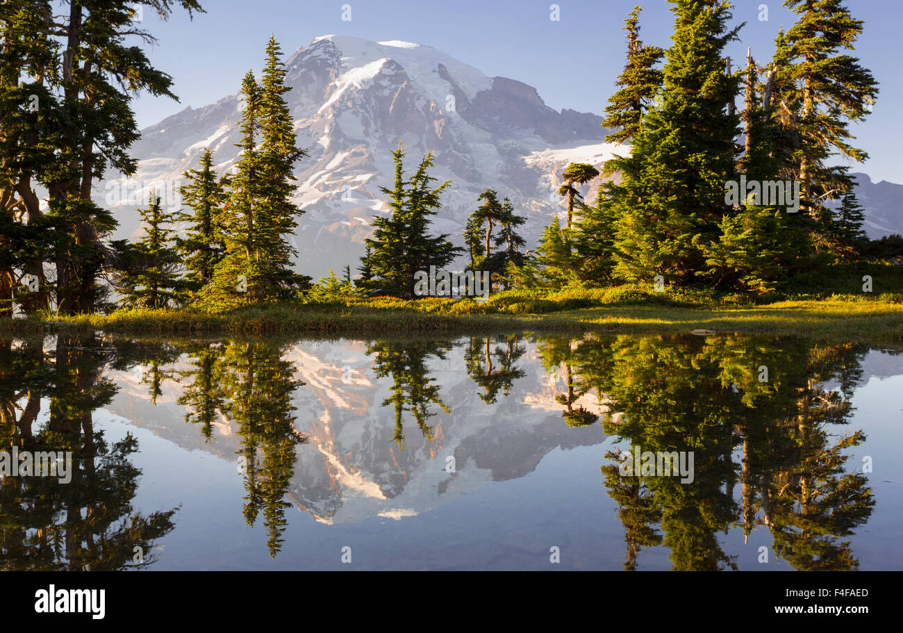 USA, Washington State. Mt. Rainier reflecting in a tarn near Plummer ...