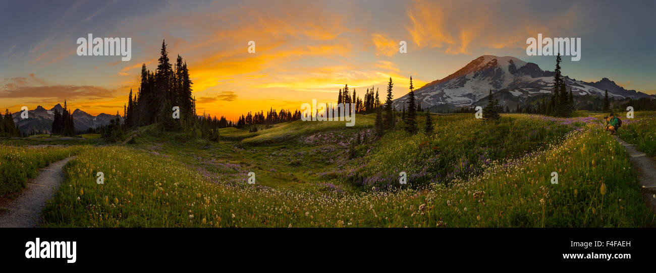 USA, Washington State. Sunset panorama from trail at Mazama Ridge above ...