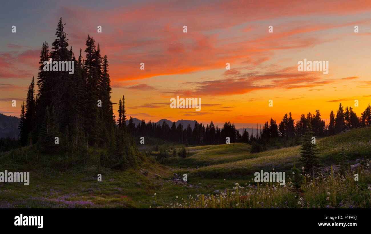 USA, Washington State. Red sunset at Mazama Ridge above Paradise, Mt ...