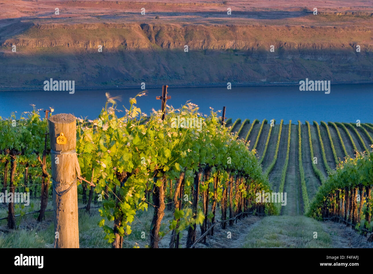Horse heaven hills, columbia valley hi-res stock photography and images ...