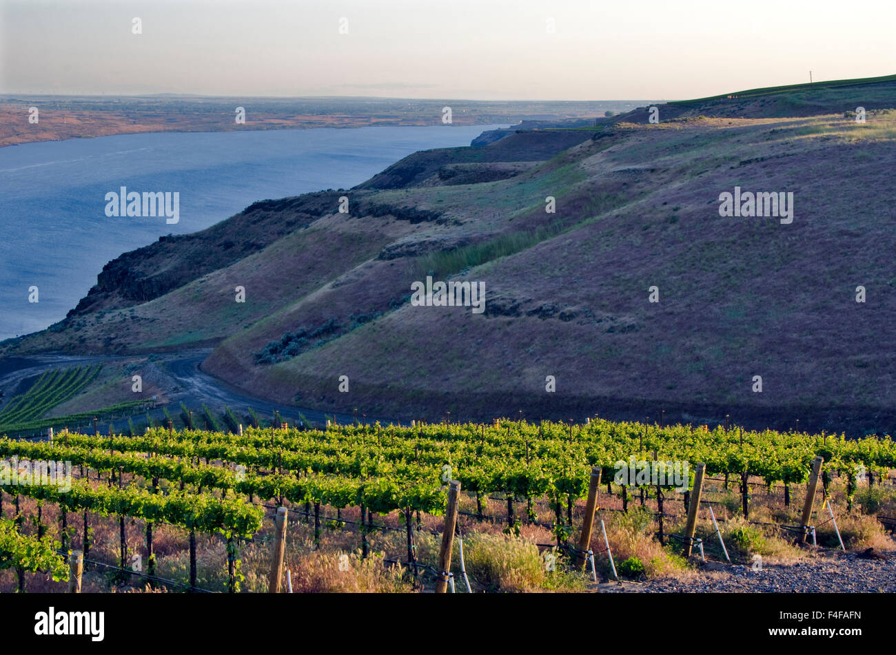 USA, Washington, Columbia Valley. Evening light over the Benches ...