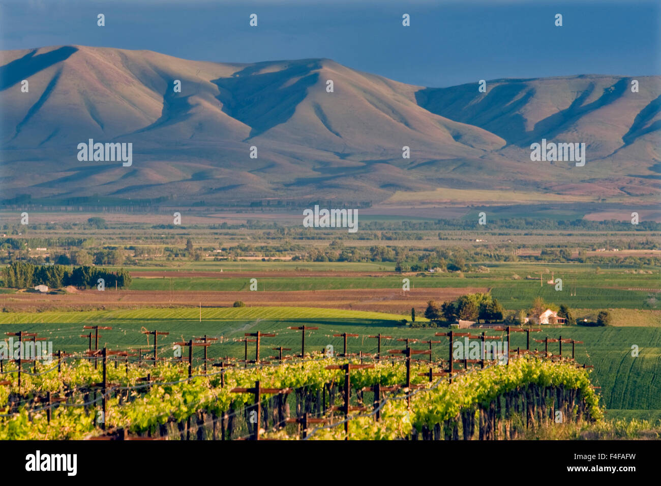 Yakima valley ava hi-res stock photography and images - Alamy