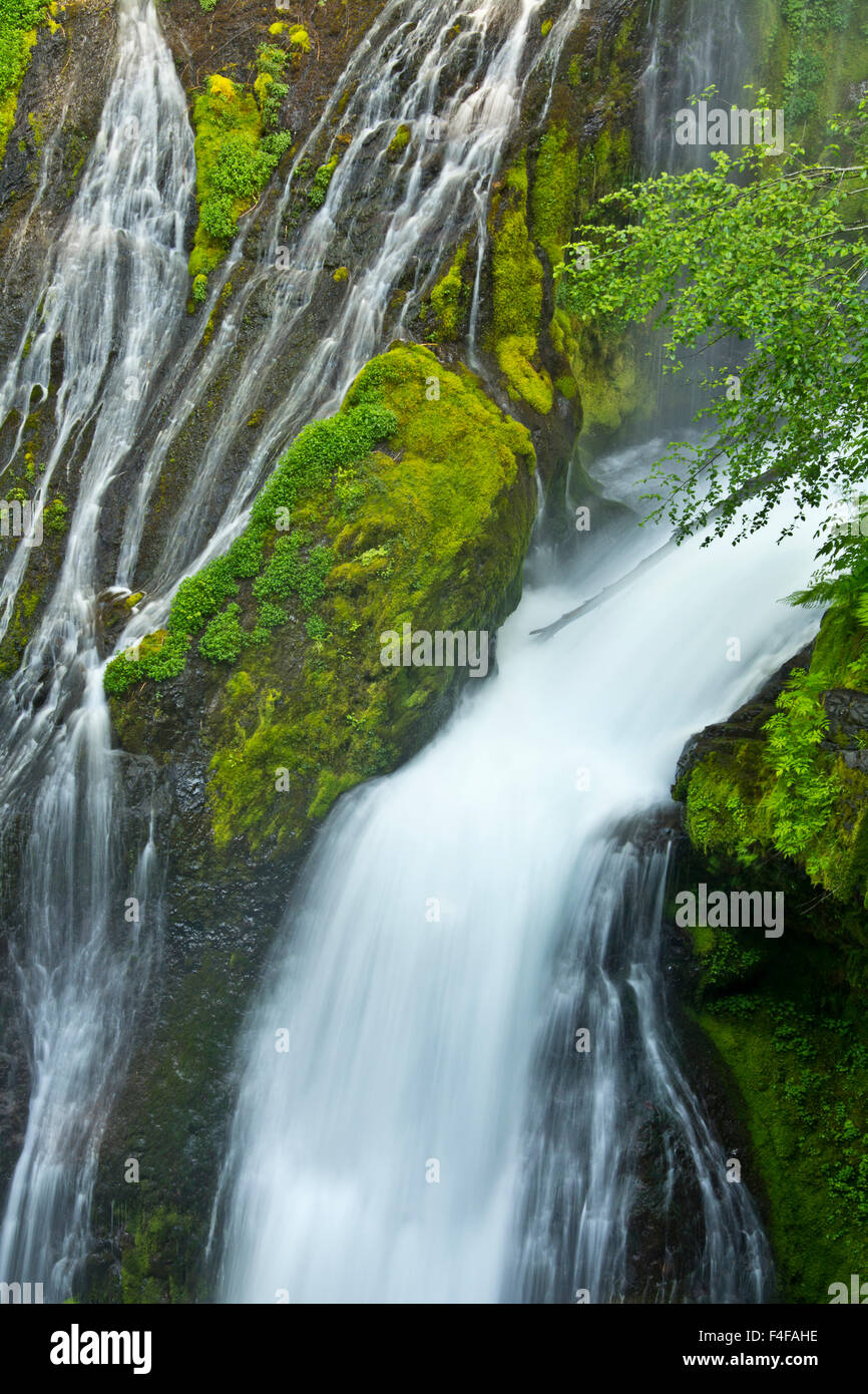 Carson falls hi-res stock photography and images - Alamy