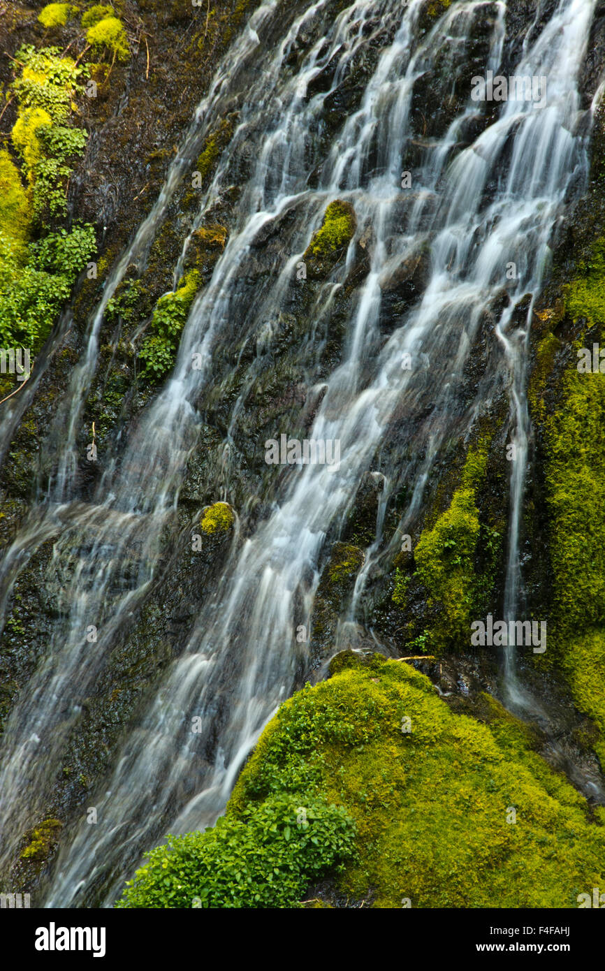 Detail, Panther Creek Falls, Carson, Washington Stock Photo - Alamy