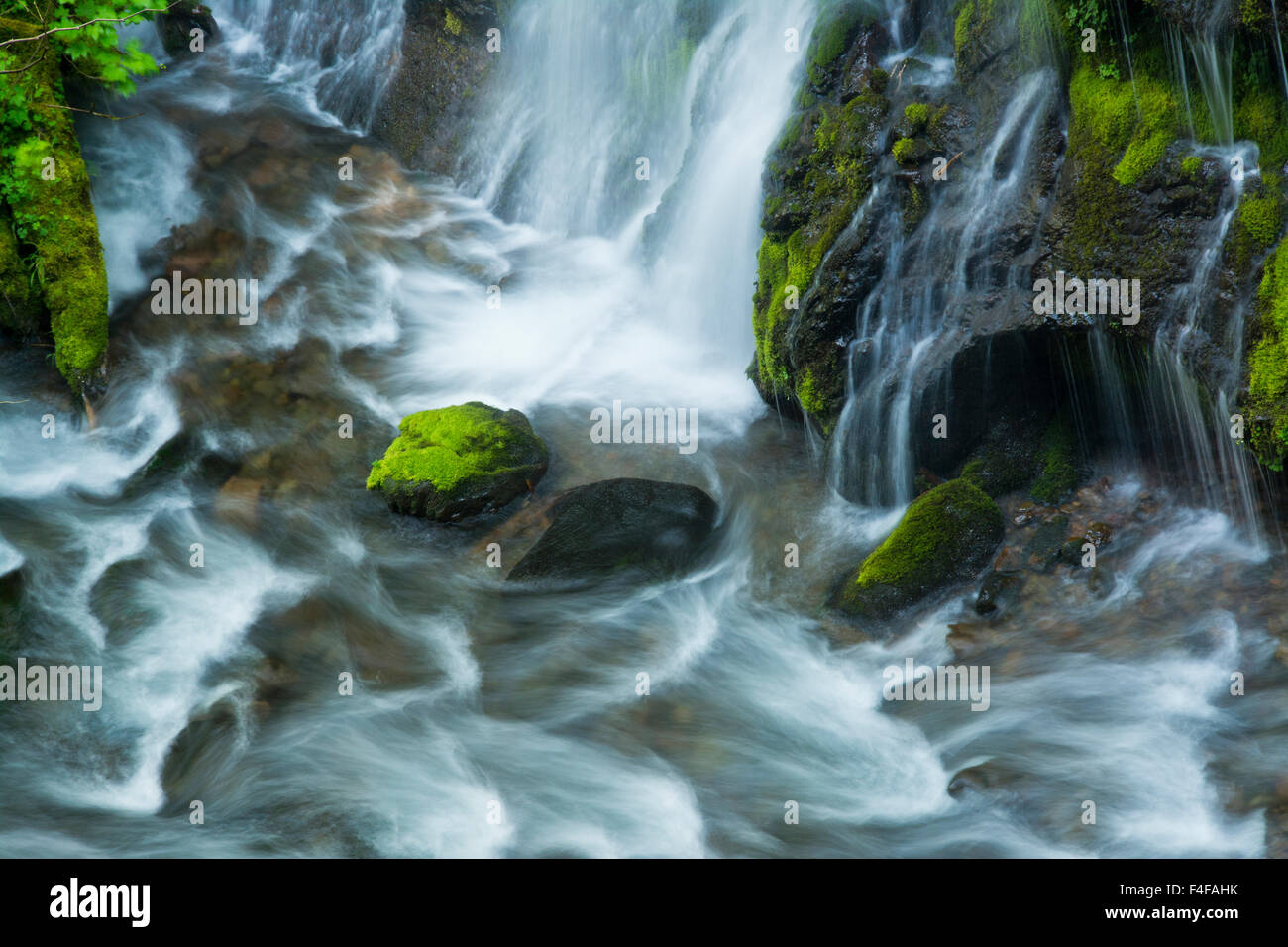 Detail, Panther Creek Falls, Carson, Washington, USA Stock Photo - Alamy