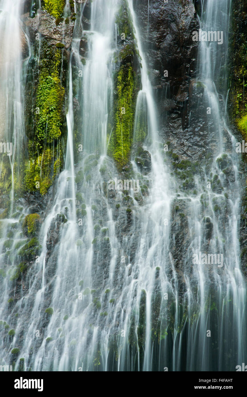 Detail, Panther Creek Falls, Carson, Washington, USA Stock Photo - Alamy