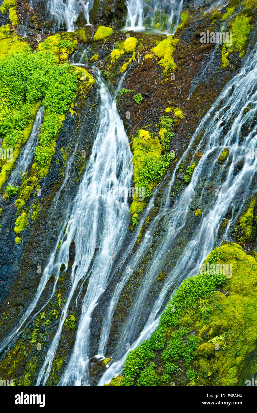Detail, Panther Creek Falls, Carson, Washington, USA Stock Photo - Alamy