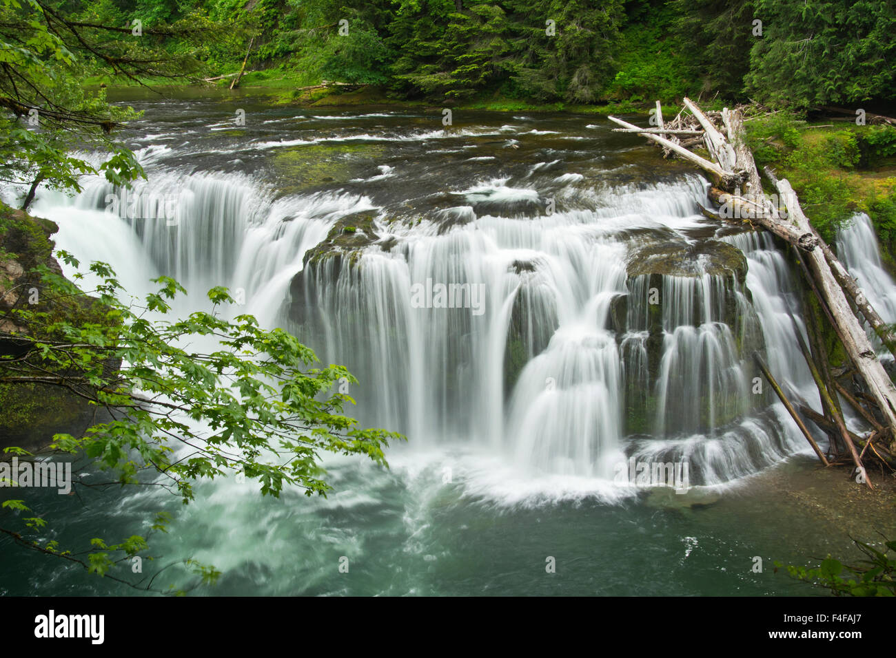 Lower lewis falls washington hi-res stock photography and images - Alamy