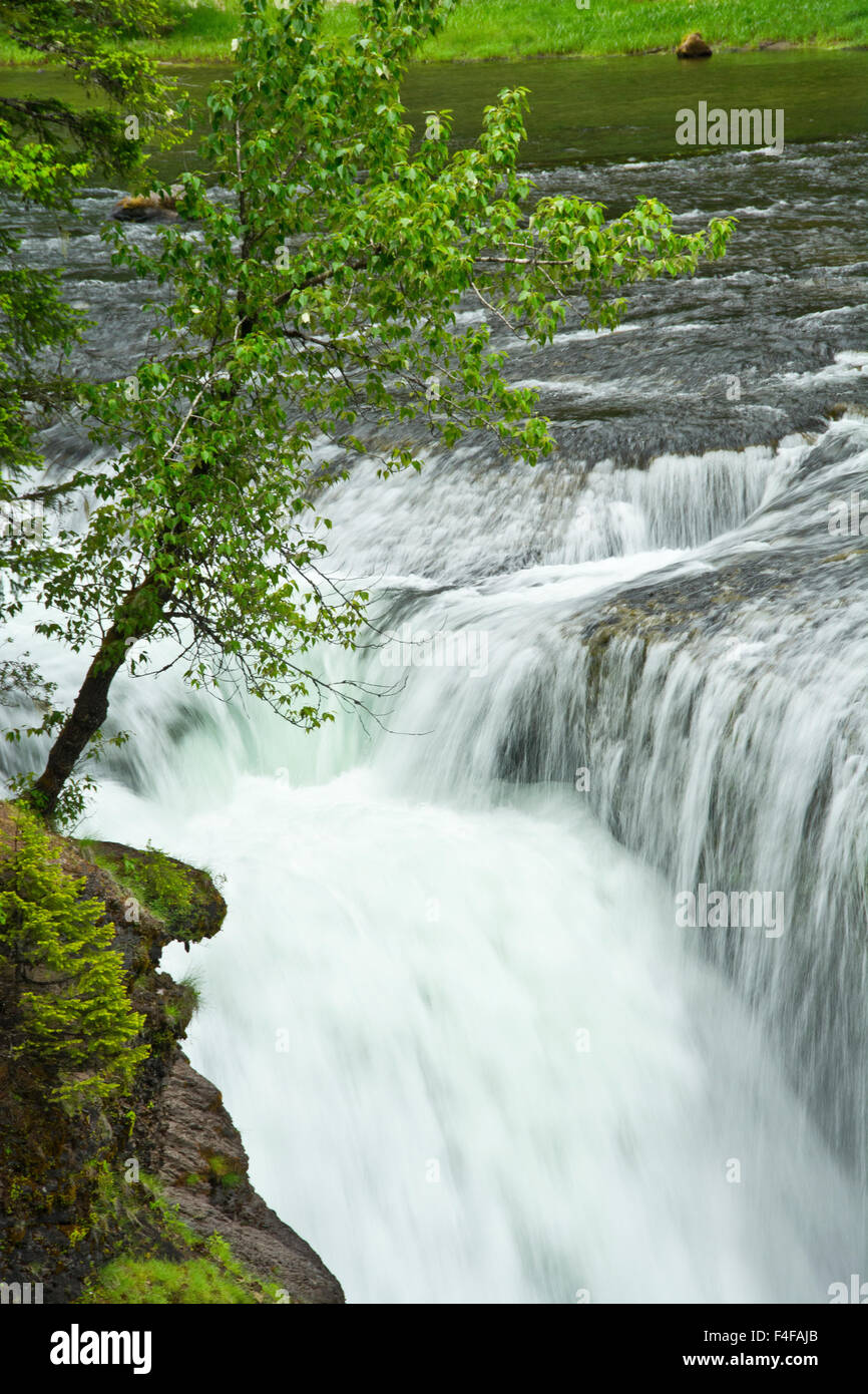 Lower lewis river hi-res stock photography and images - Alamy