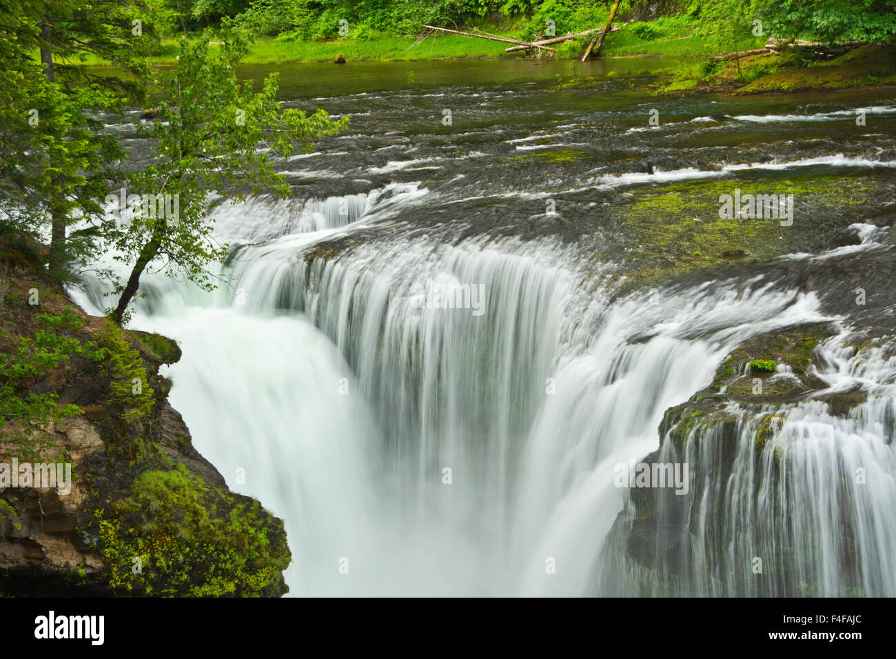 Lower lewis river falls hi-res stock photography and images - Alamy