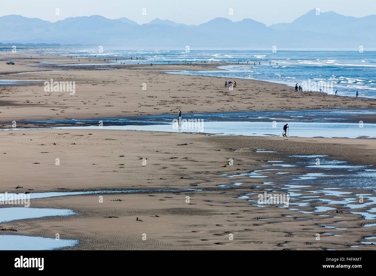 Clammer hi-res stock photography and images - Alamy