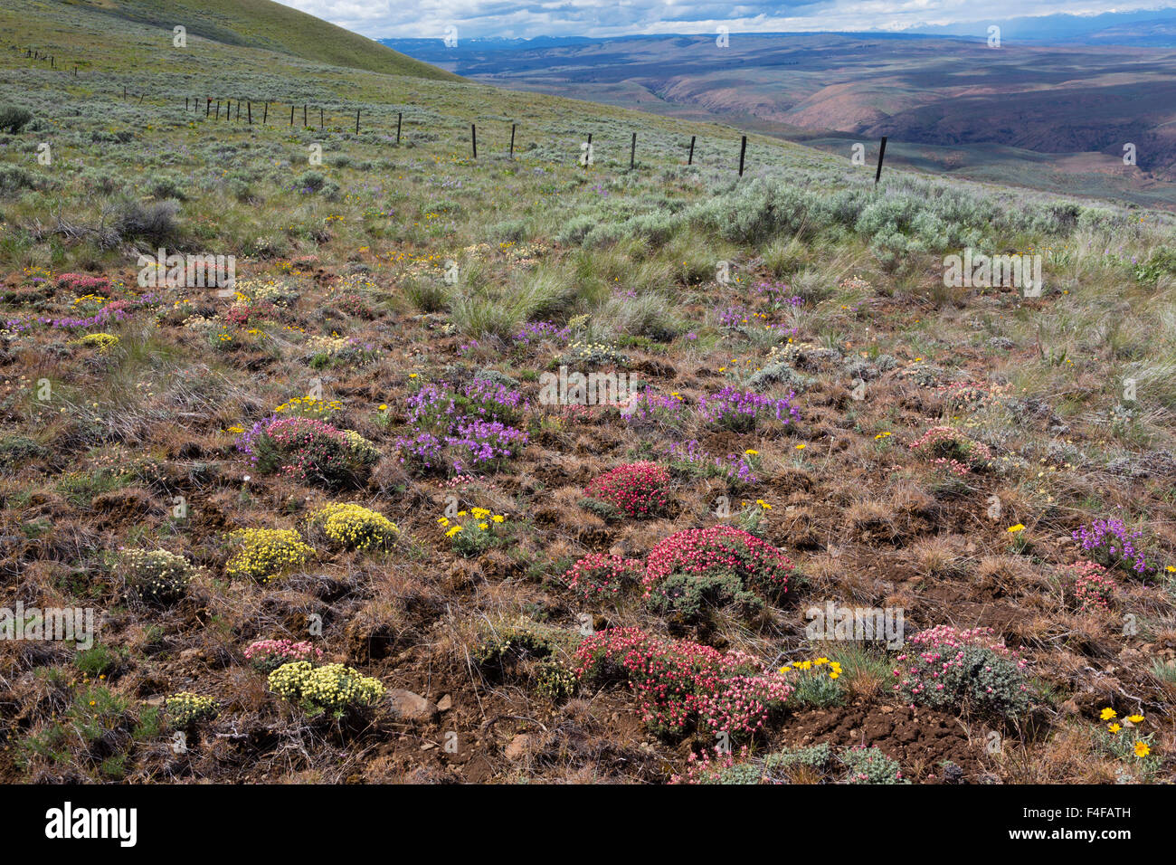 L t murray wildlife area hi-res stock photography and images - Alamy